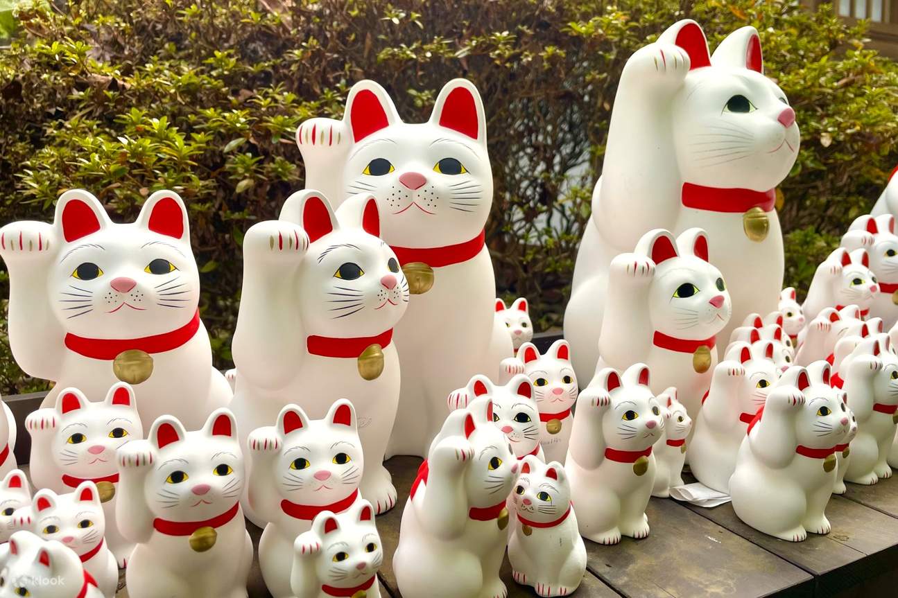 Gotokuji Cat temple, Shinjuku Cat cafe and 3D Cat tour (Tokyo) - Klook ...