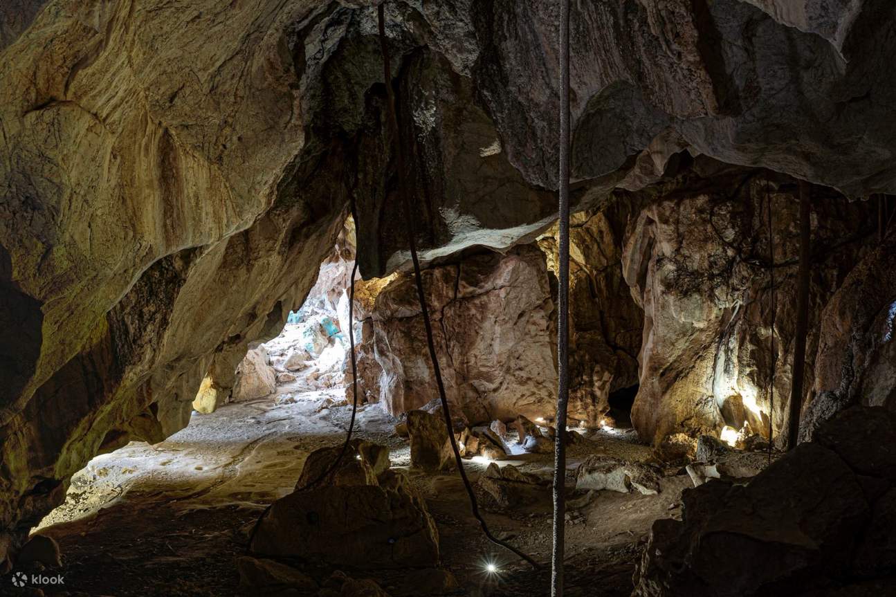 Cathedral Cave Join In Walking Tour - Klook