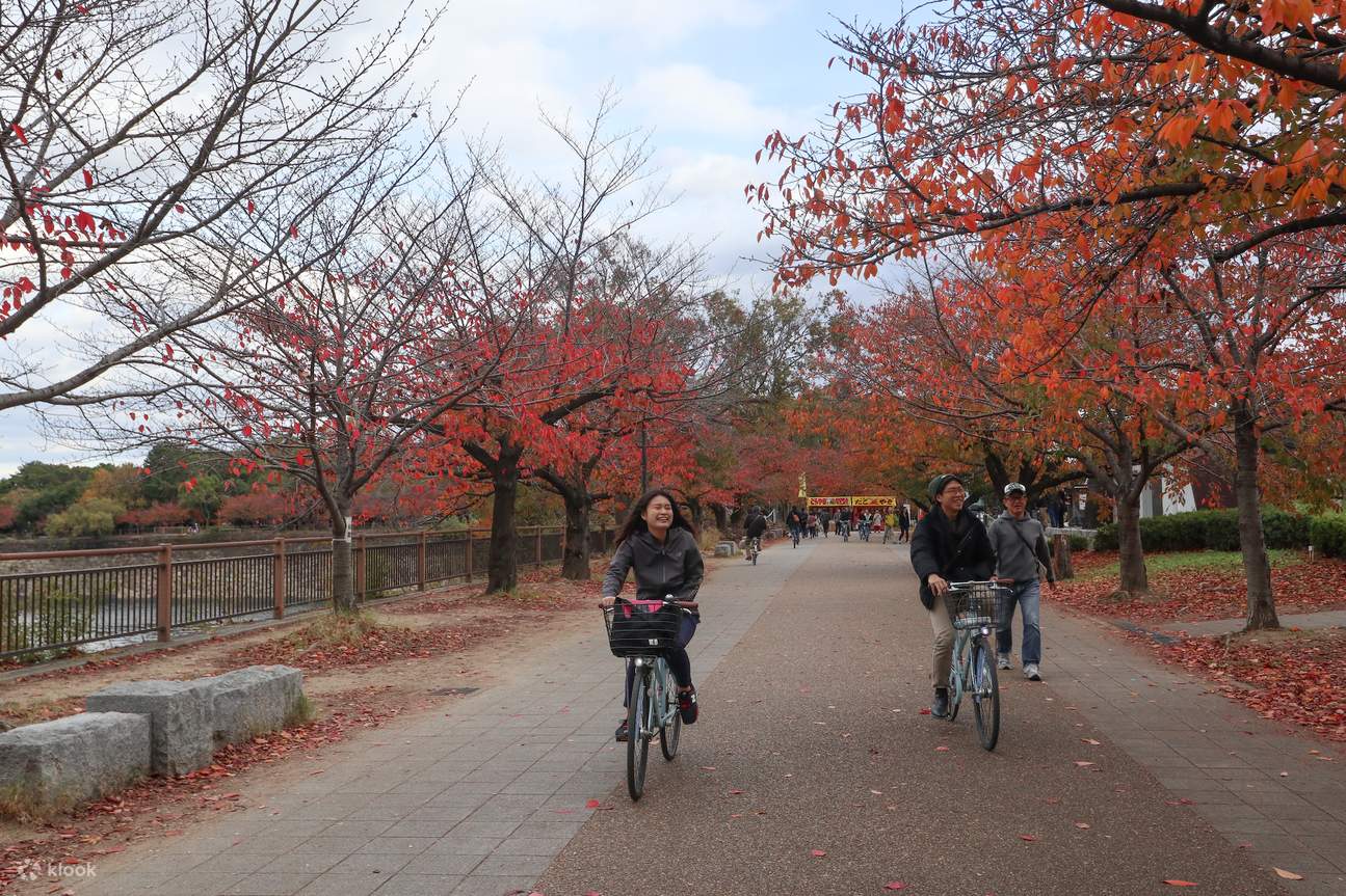 Osaka Castle Area Half Day Biking Tour with Local Guide - Klook Malaysia