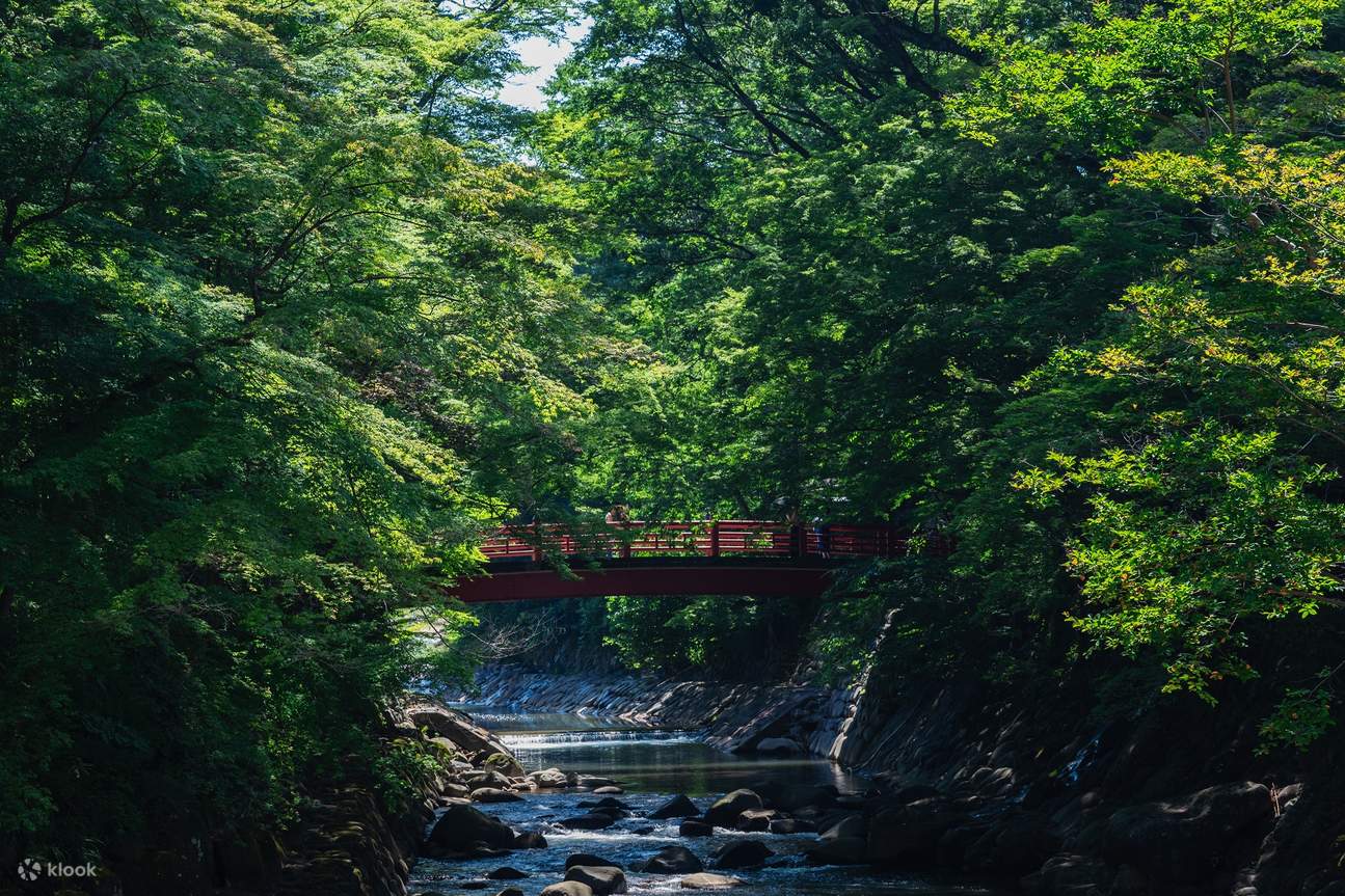 Shimoda Park Hydrangea Festival, Mishima Skywalk, Mt. Omuro Ropeway ...