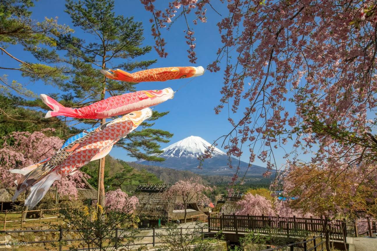 Muslim Friendly Mt. Fuji Day Tour with Halal Lunch & Prayer Time ...