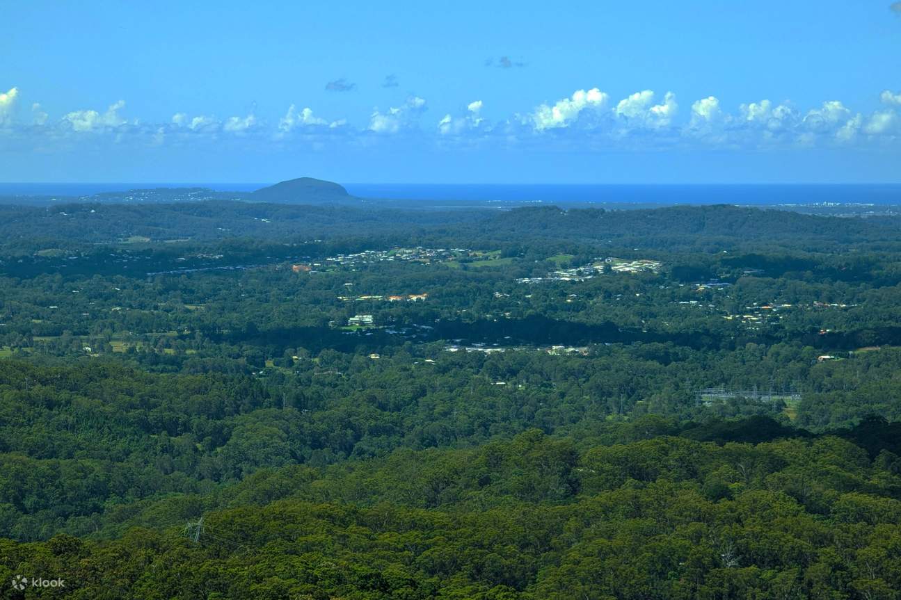Noosa, Aussie Animals & Glass House Mountains from Brisbane - Klook ...