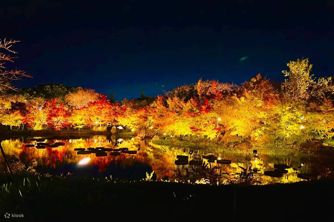 Tour in autobus dell'outlet di Nagashima Mitsu e dell'illuminazione ...