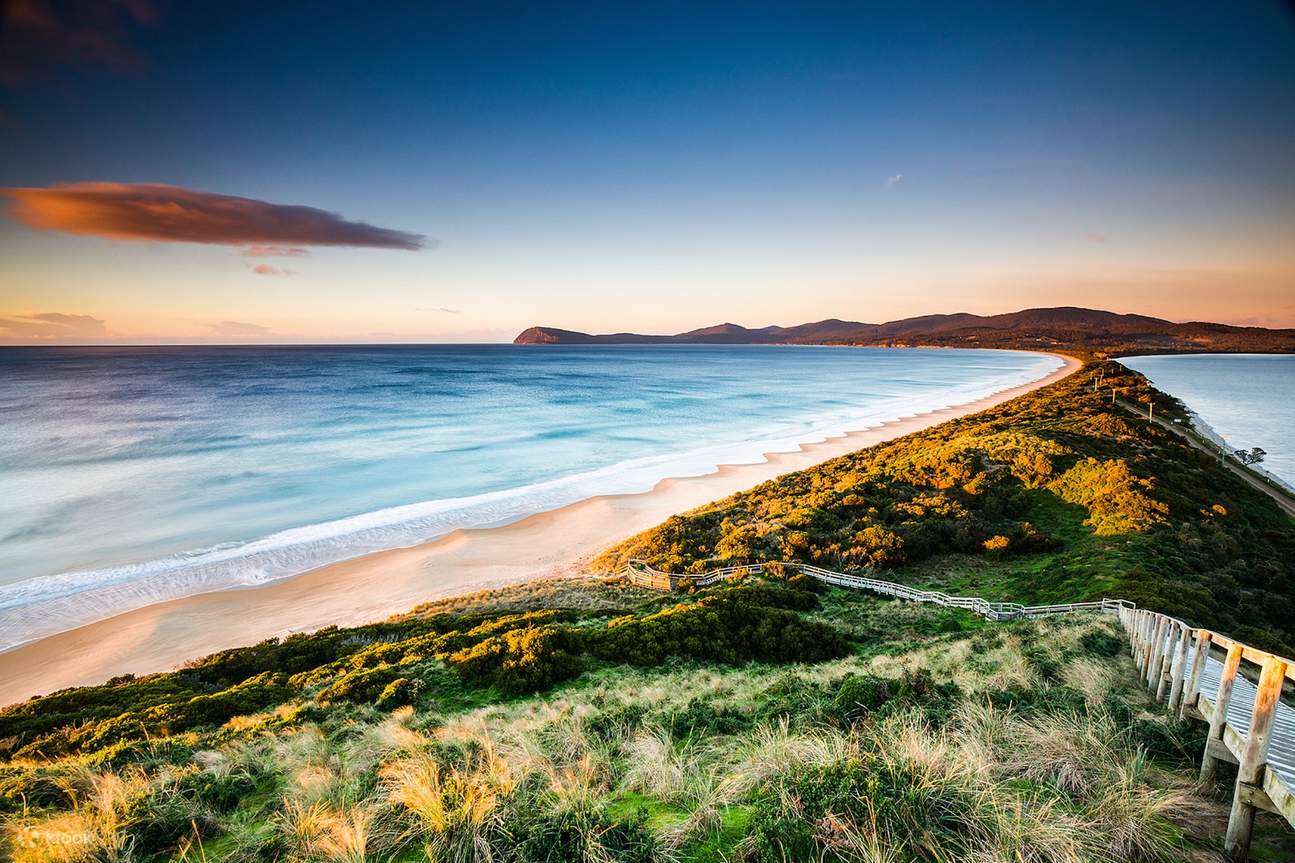 Bruny Island Day Tour from Hobart and Tasmania, Australia - Klook Singapore