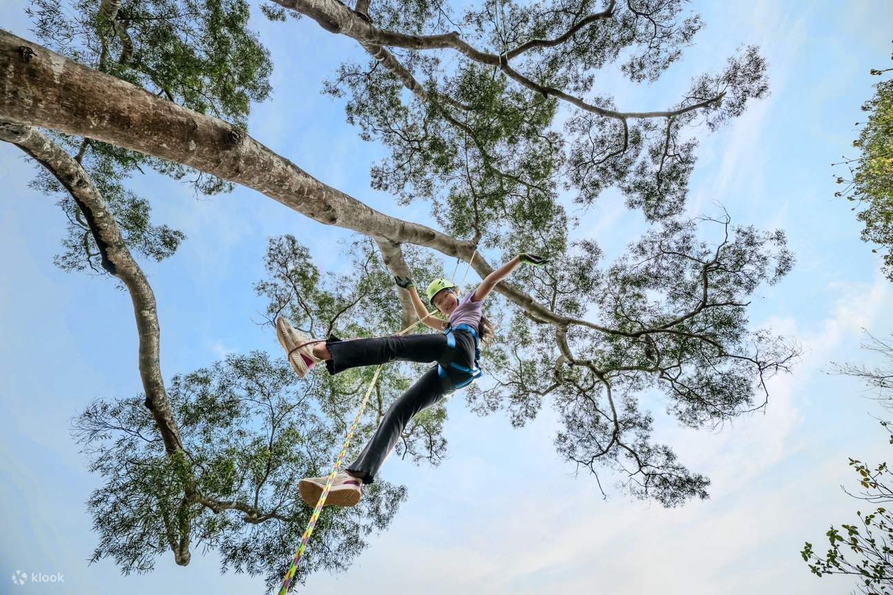Yunlin: Half-Day Outdoor Activities (Tree Climbing / DIY) - Klook