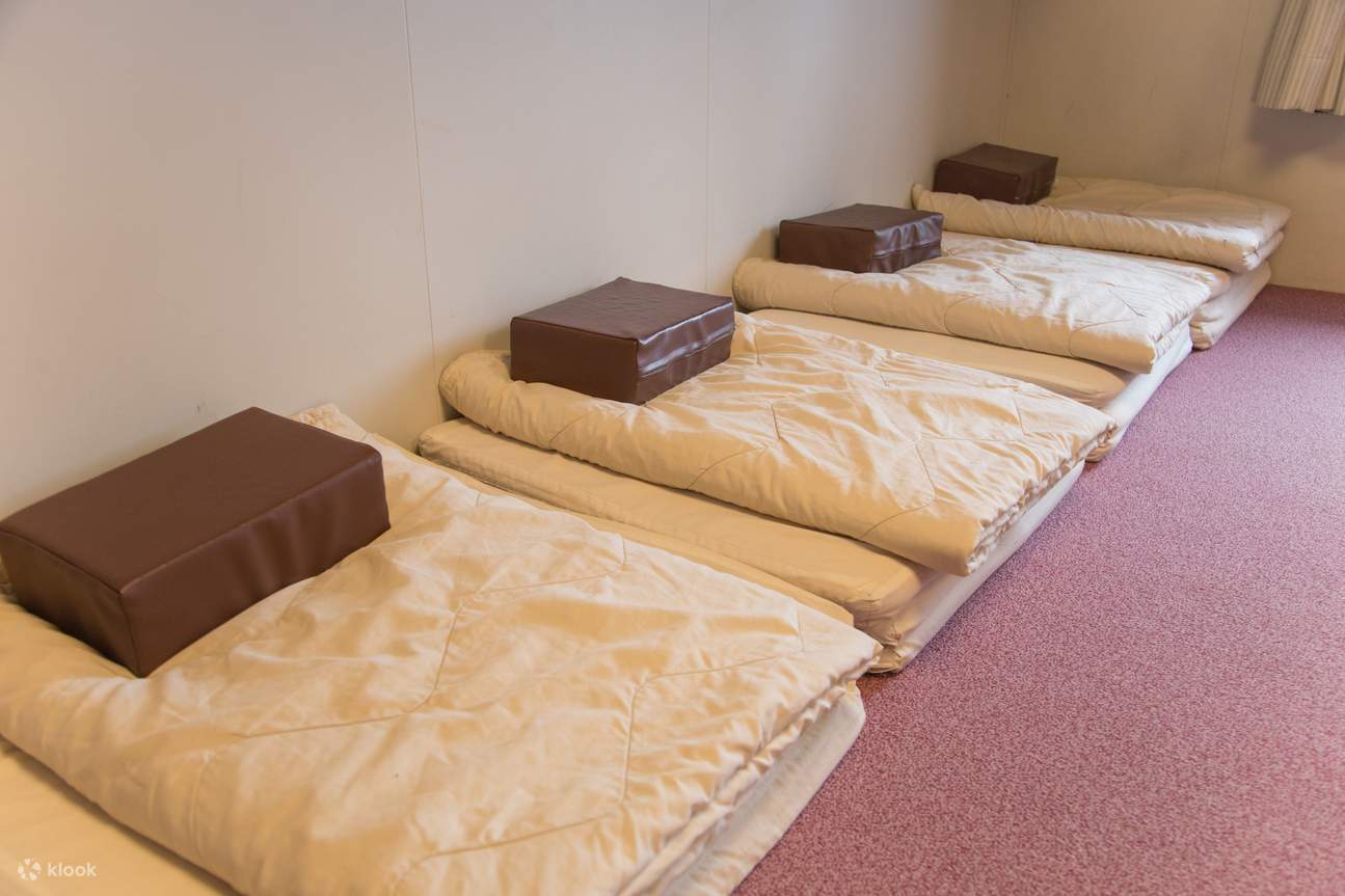 Ferry between Fukuoka and Busan by New Camellia Line - Klook