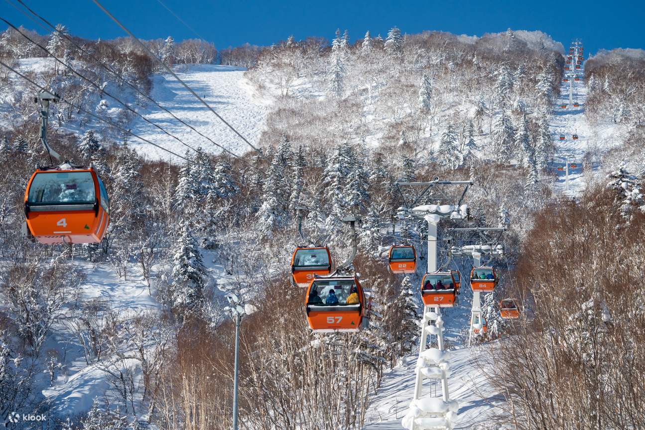 Hokkaido丨Sapporo International Ski Resort All-inclusive one-day ski ...