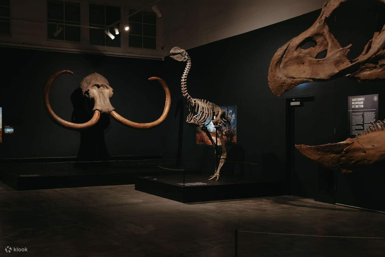 Science Centre Dinosaurs Extinctions Us Exhibition - Klook Singapore