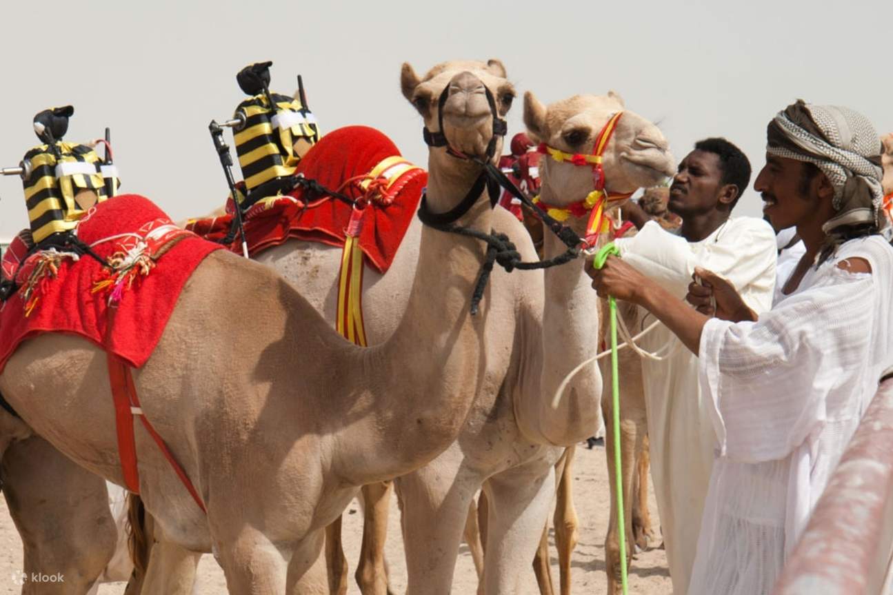 Shahania Bedouin Experience from Doha - Klook