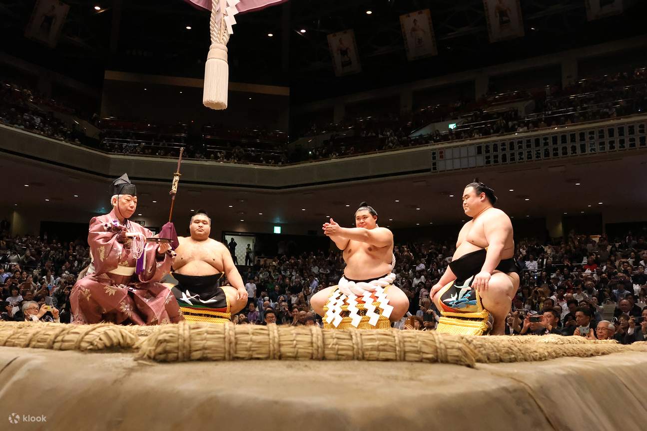 Kyushu Fukuoka Sumo Wrestling Experience in Japan｜Official Tournament ...