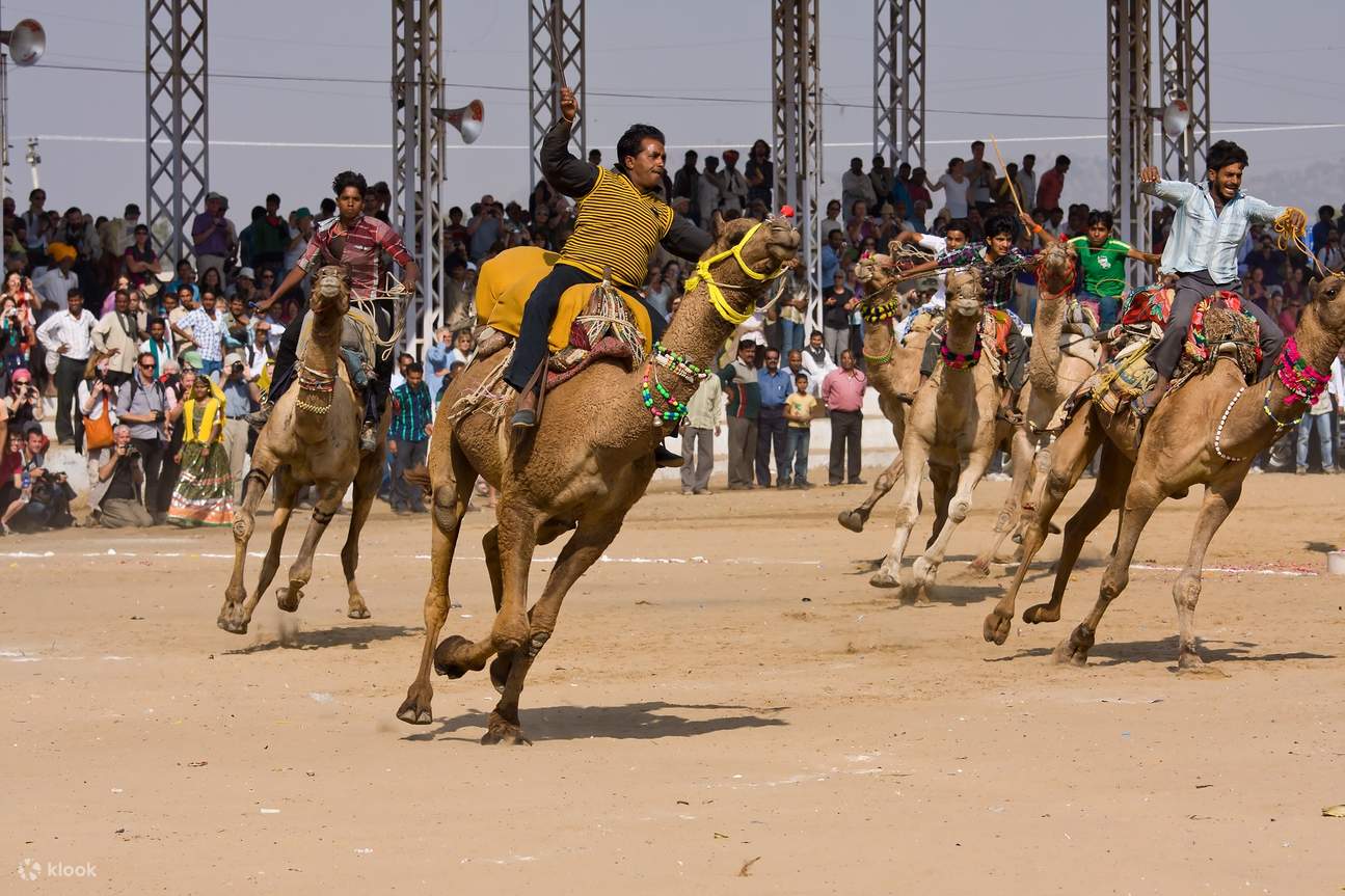 A Day Trip of Pushkar from Jaipur with Local Guide - Klook Hong Kong