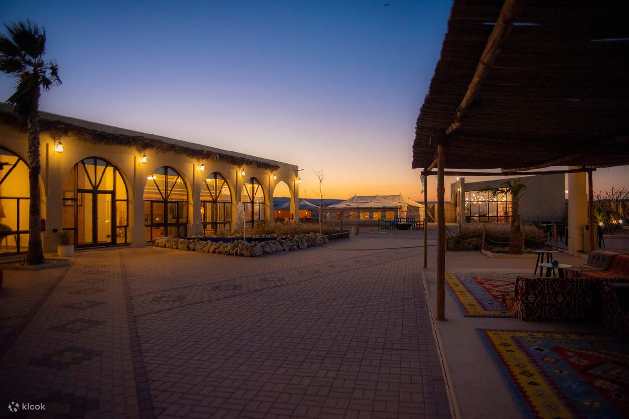 Safari Gurun Sehari Penuh di Doha - Klook Amerika Syarikat