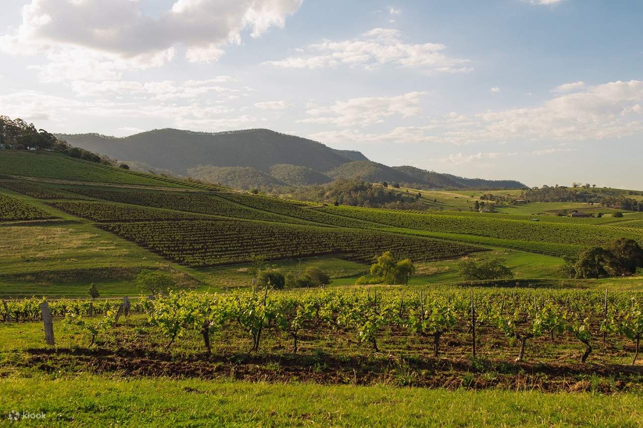 Tasting in Tyrrell's Sacred Sites Vineyard Experience in Hunter Valley ...