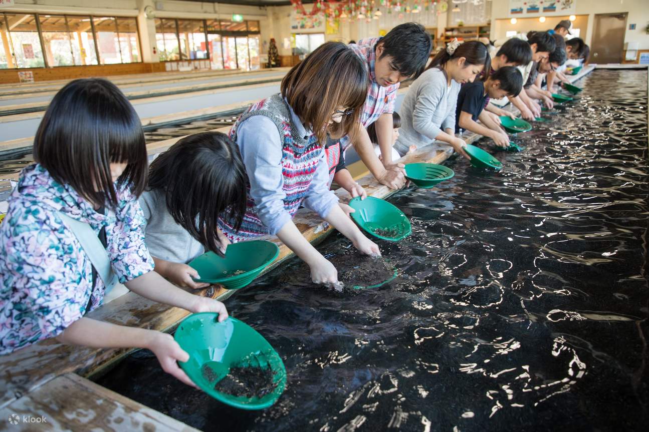 大室山＆moa美术馆＆堂之岛游轮＆土肥金山+修善寺两日游 （东京出发） - Klook客路
