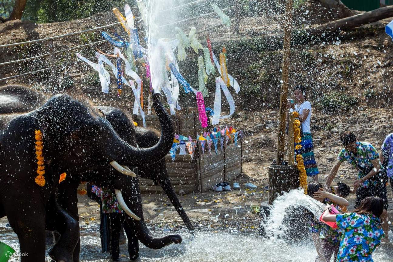 Kerchor Elephant Eco Park Tour a Chiang Mai, Thailandia - Klook Stati Uniti