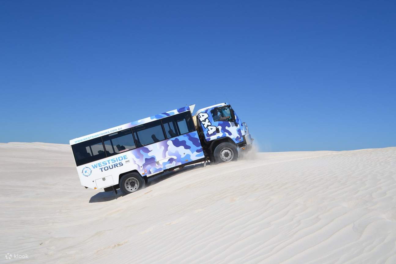The Pinnacles, Koalas & Sandboarding Abenteuer - Klook, Vereinigte Staaten