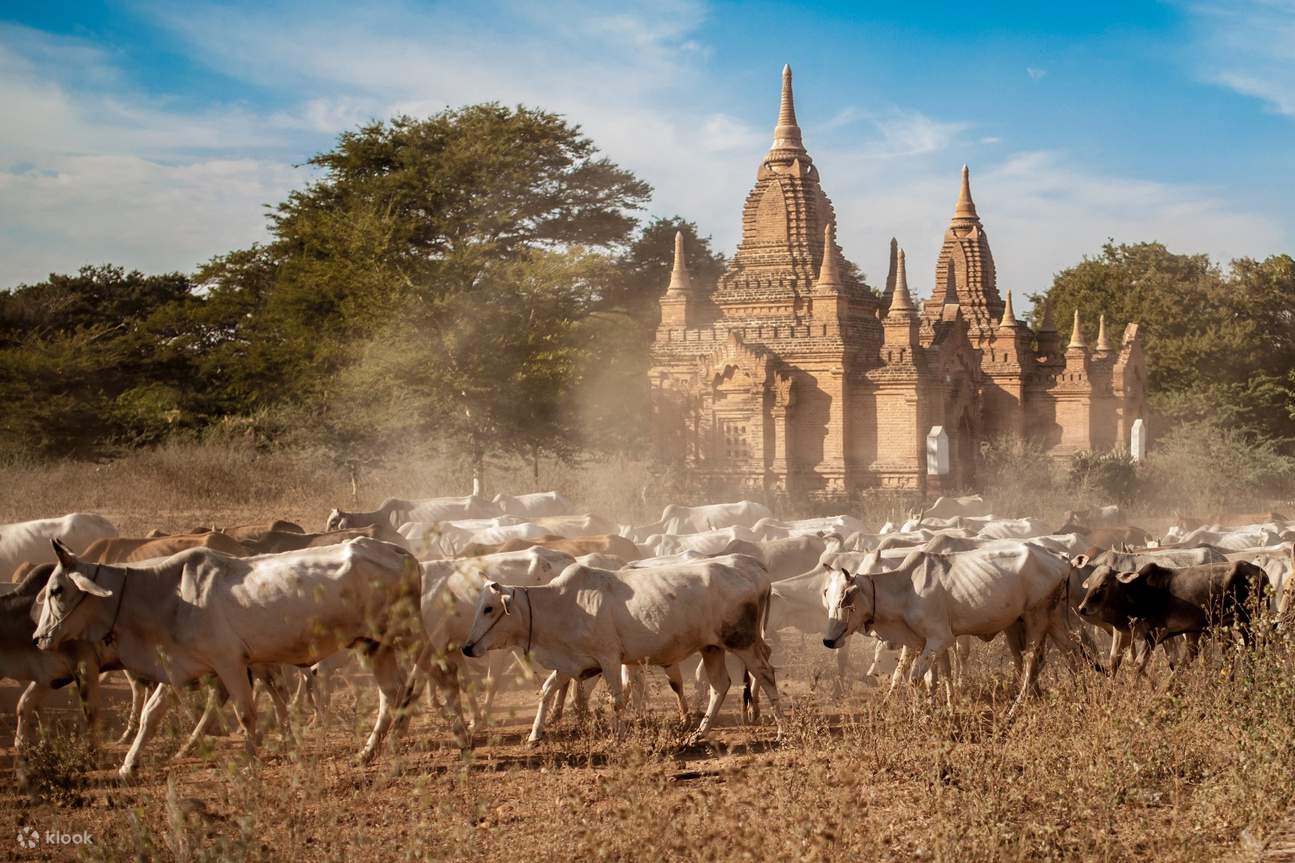 Bagan Archaeological Zone E-Ticket with Transfer - Klook