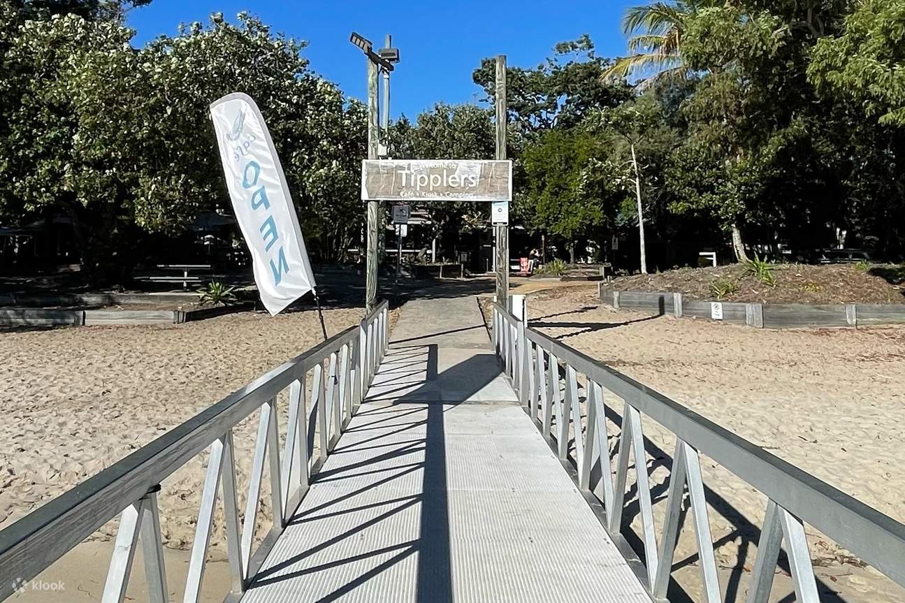 Boat Tour from Surfers Paradise to Tipplers, South Stradbroke Island ...