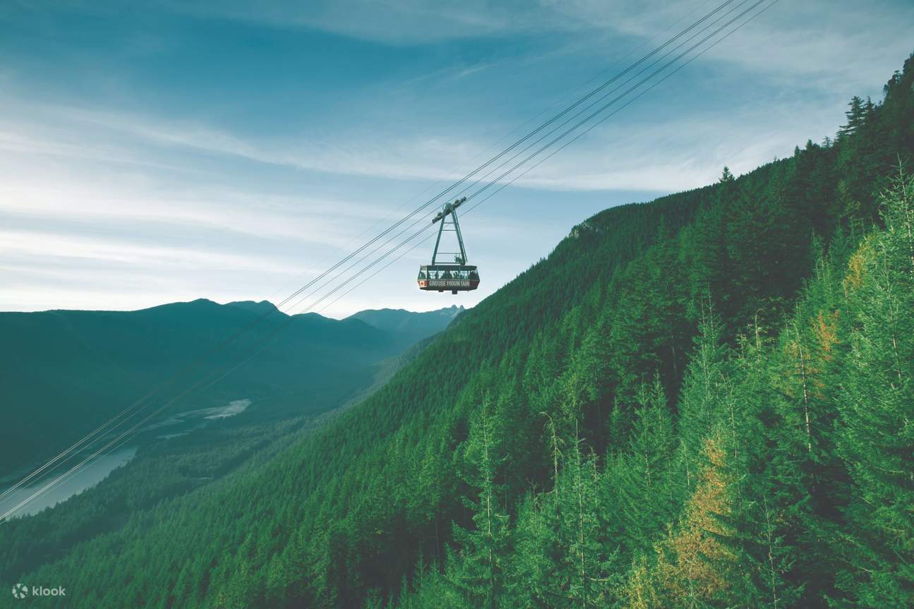 Grouse Mountain and Capilano Suspension Bridge Park Join In Half Day ...