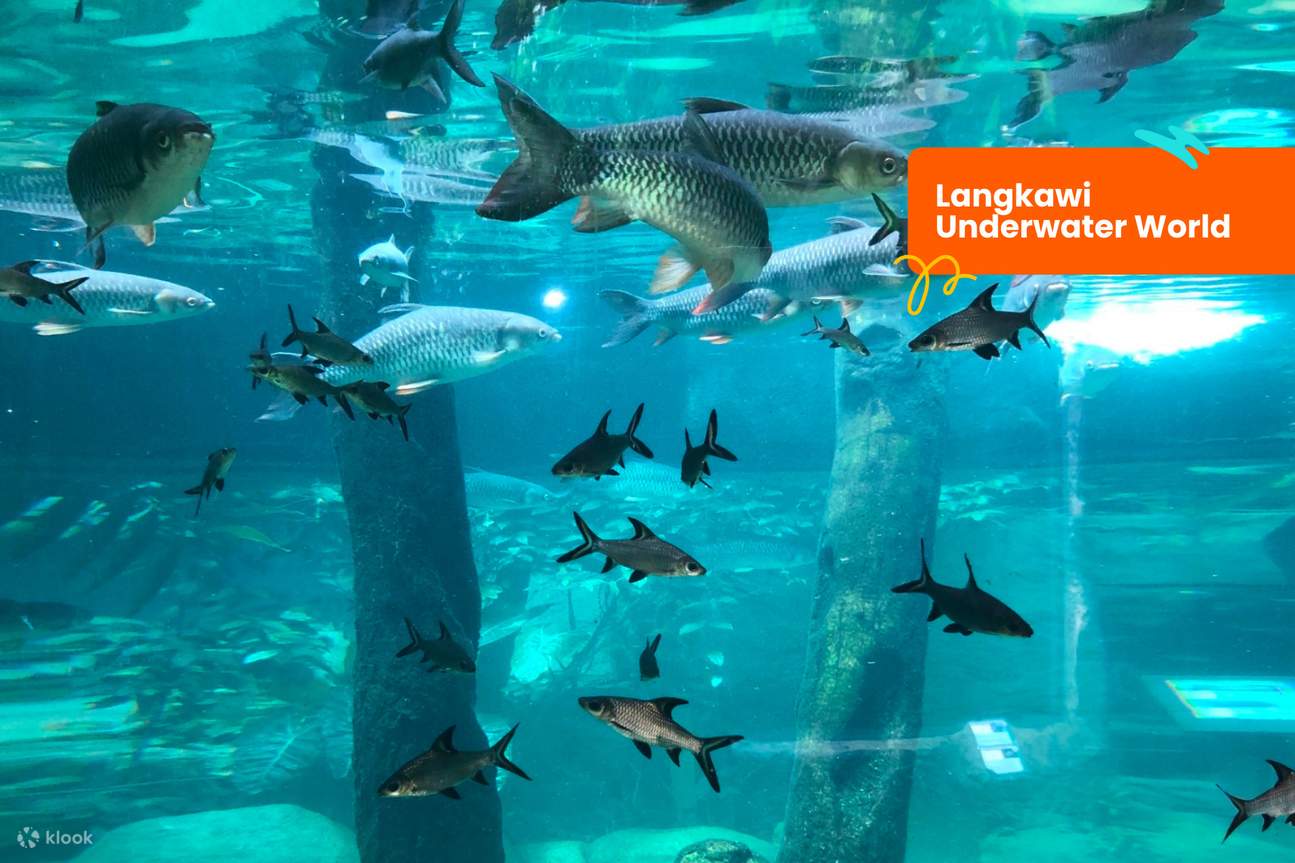 Up to 55% Off | Klook Langkawi Attraction Pass [Bundle & save!] - Klook India