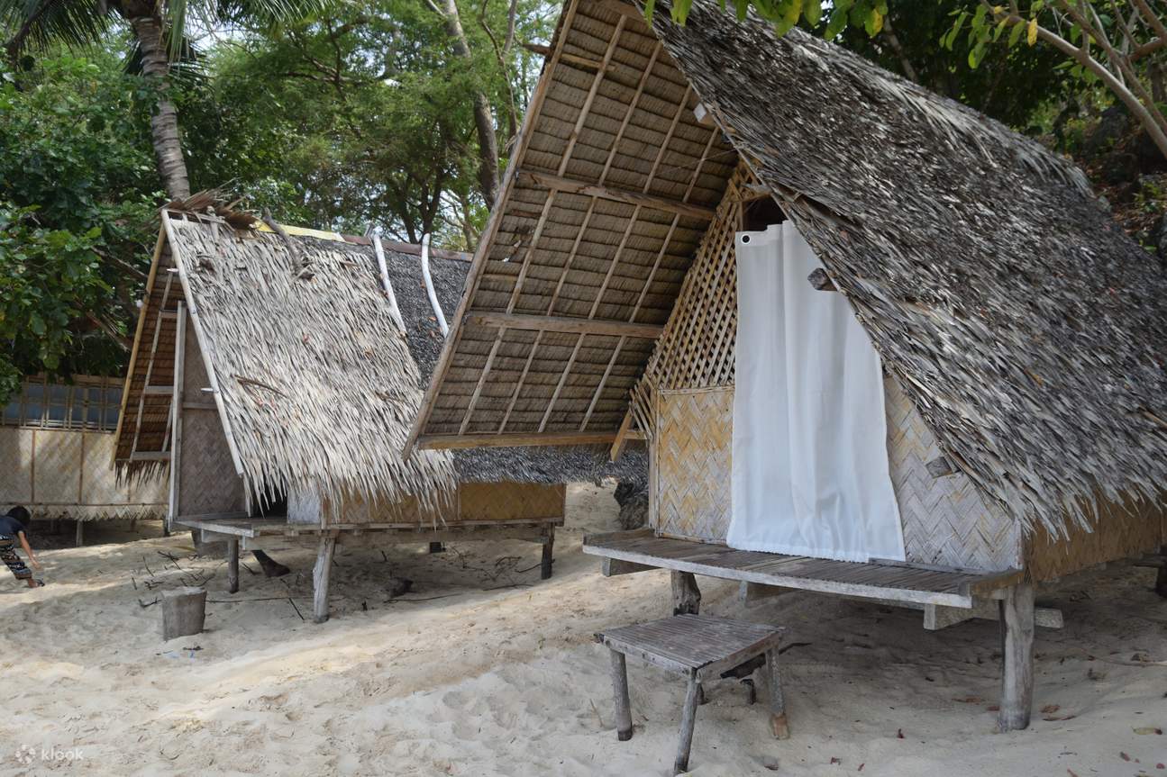 3D2N Marine Academy Expedition in Palawan - Klook Philippines