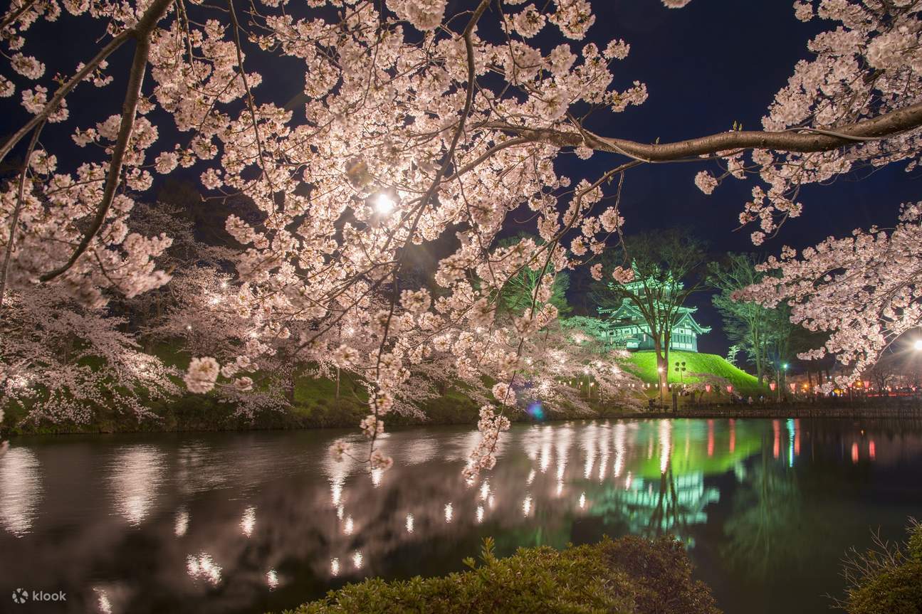 [Nagano 2-Day Cherry Blossom Tour] The World's Best Cherry Blossoms ...