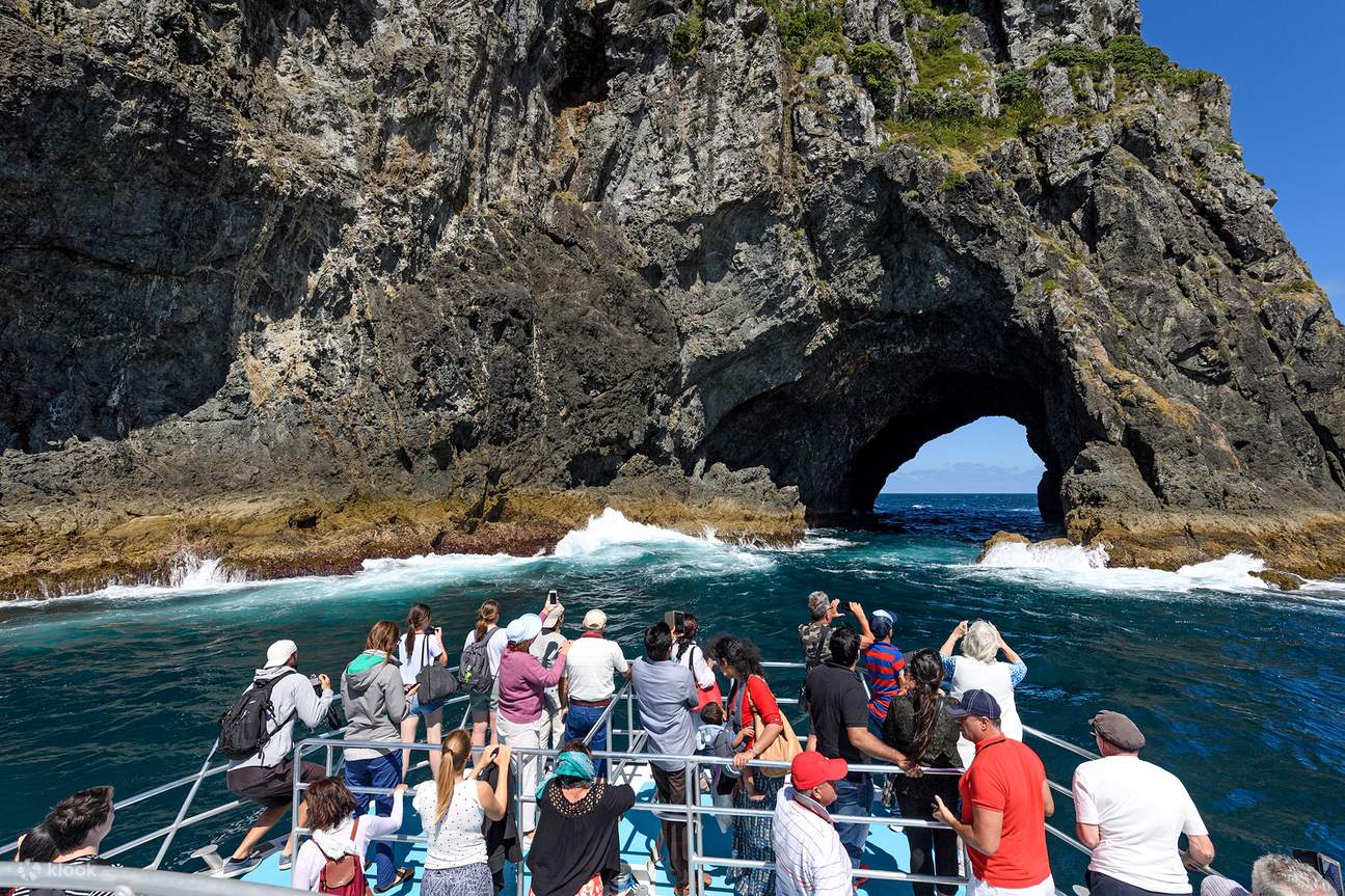 Cream Trip Super Cruise and Otehei Bay Tour from Bay of Islands - Klook