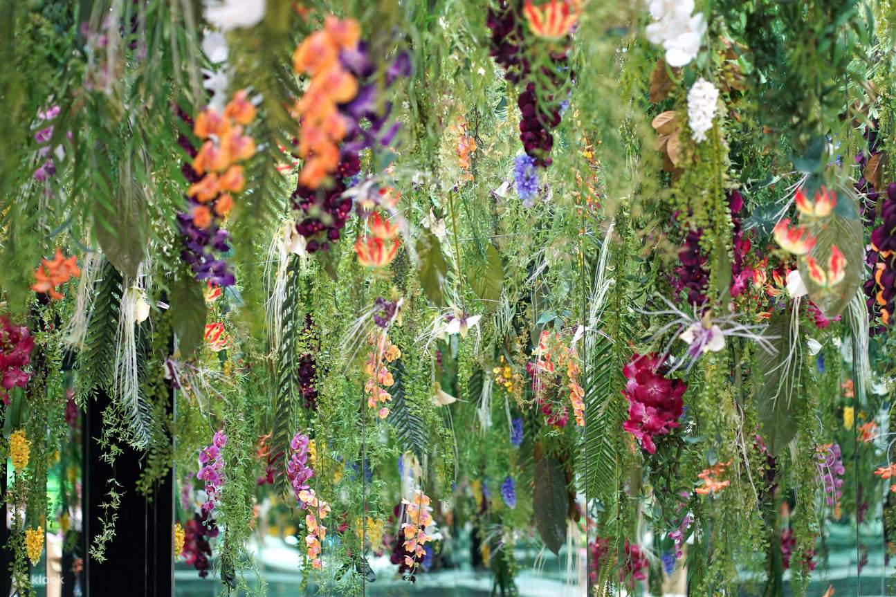 Nami Island/Alpaca World/Rail Bike/Begonia Bird Park/Cherry Blossoms - Klook États-Unis