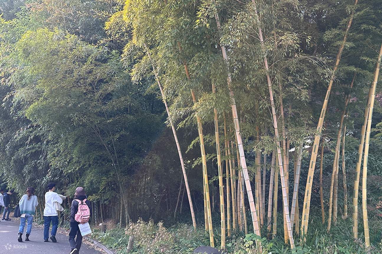 Tokyo: Imperial Palace Historical Walking Tour, Tokyo Castle - Klook