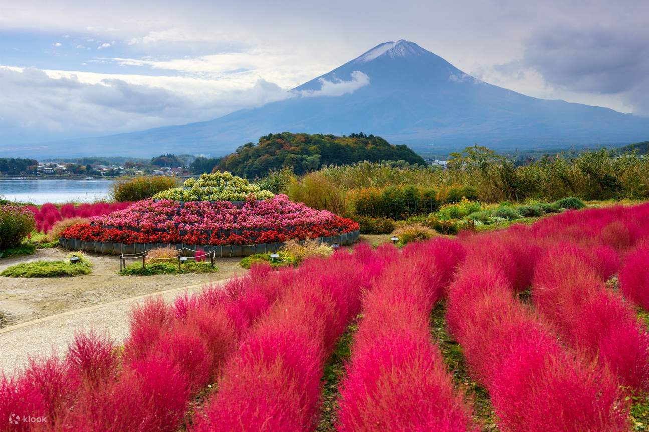 "Fuji Sky Torii Secret One-Day Tour" 5ª Stazione del Monte Fuji & Fuji ...
