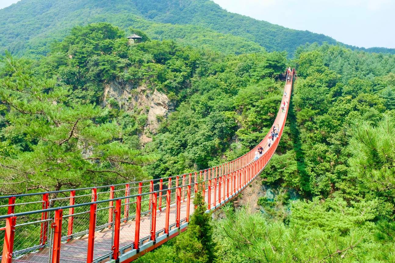 DMZ Tour from Seoul - Klook United States