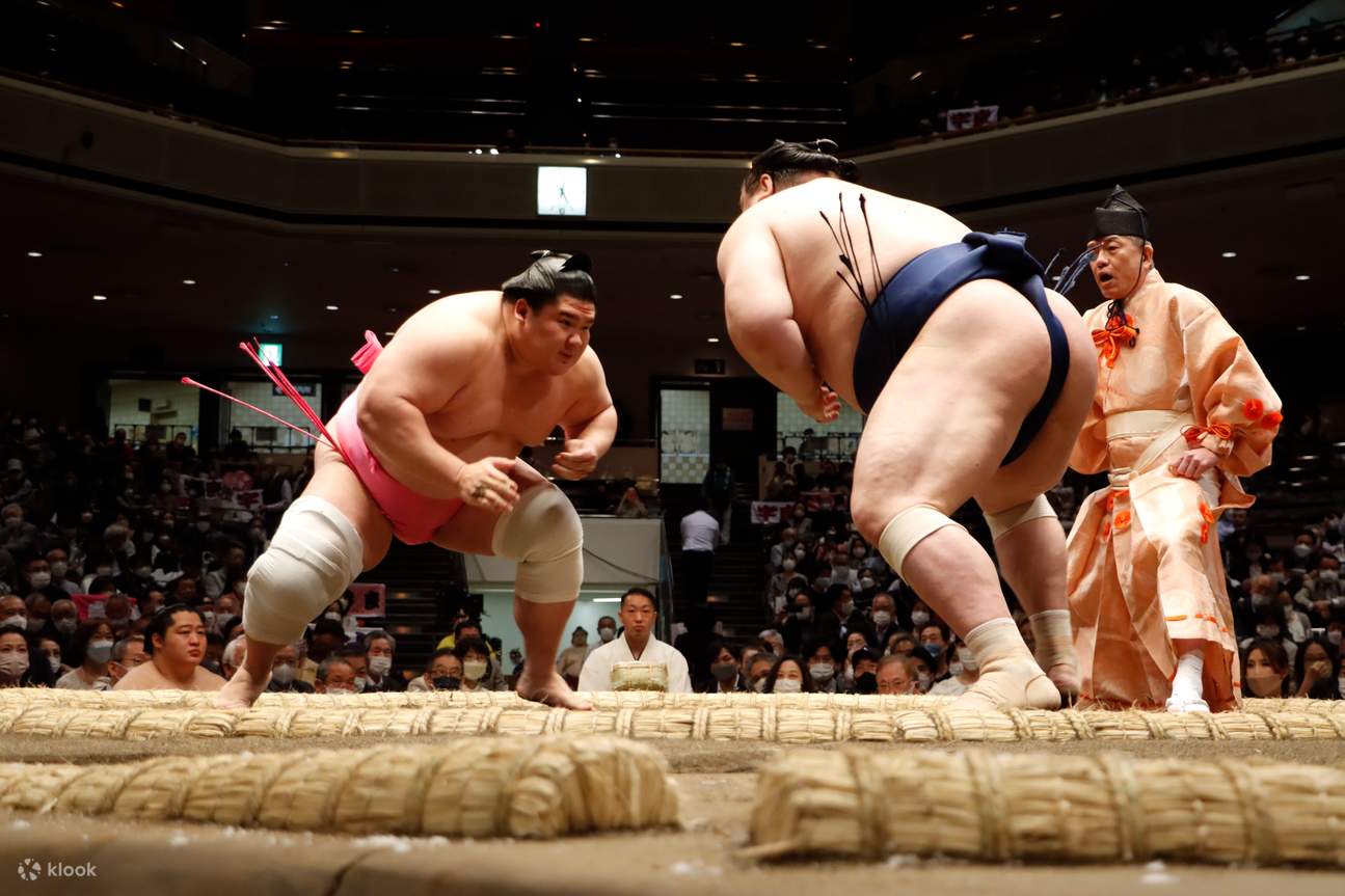 Fukuoka City, Kyushu Grand Sumo Tournament Viewing Half Day Tour ...