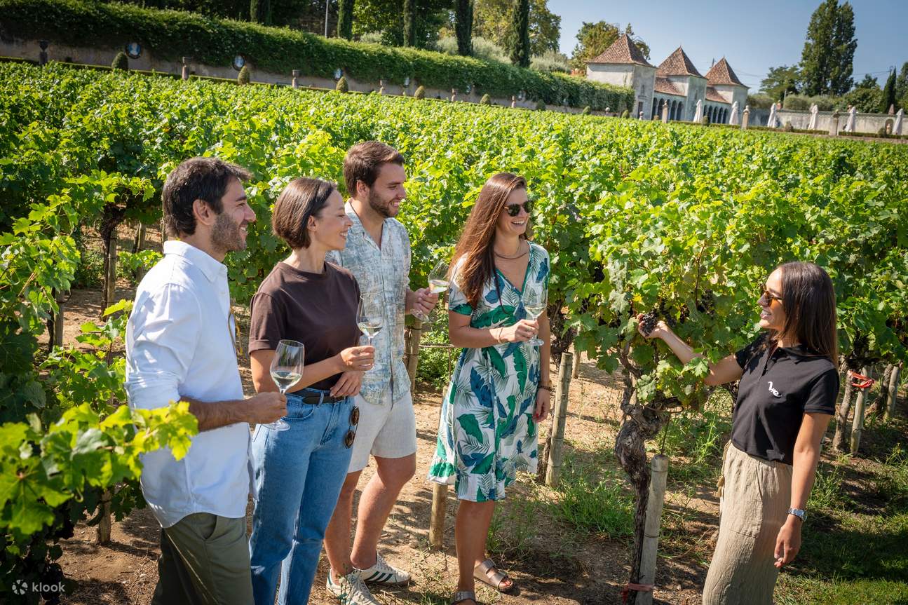 Wine Tour with 4WD Vineyards Experience Tour - Klook Philippines