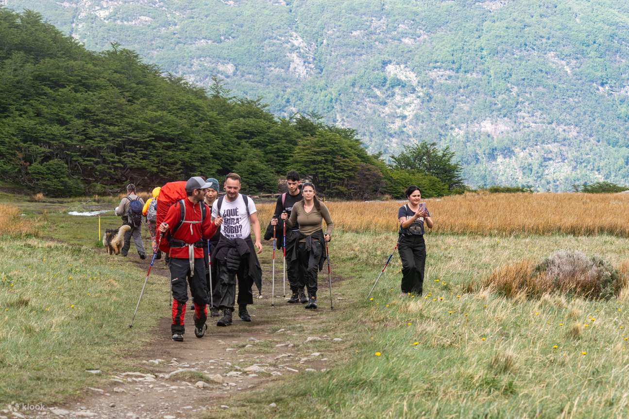 Explore the Vinciguerra Glacier and Témpanos Lagoon on a Trekking Tour ...