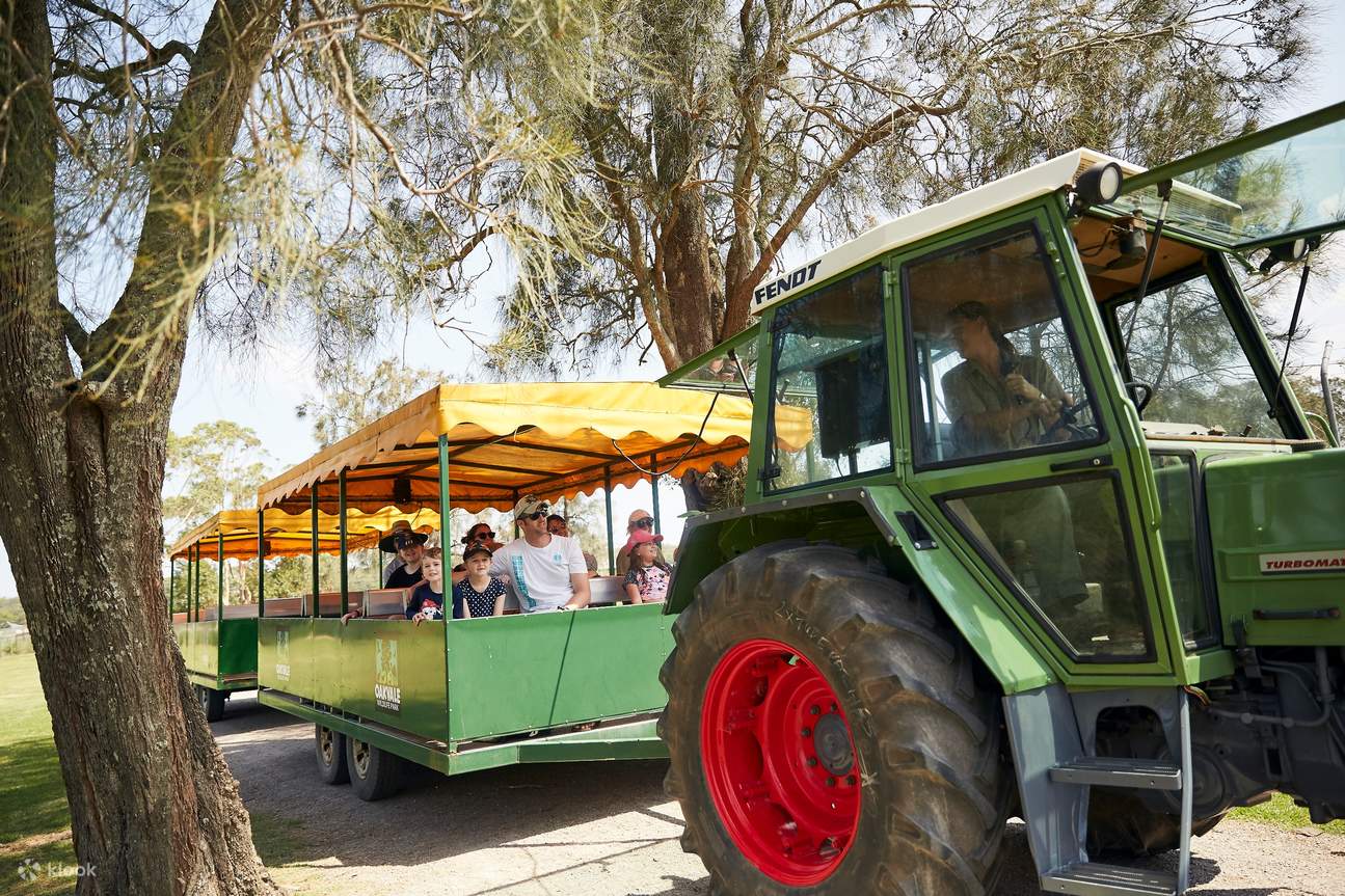 Biglietto d'ingresso all'Oakvale Wildlife Park a Port Stephens - Klook ...