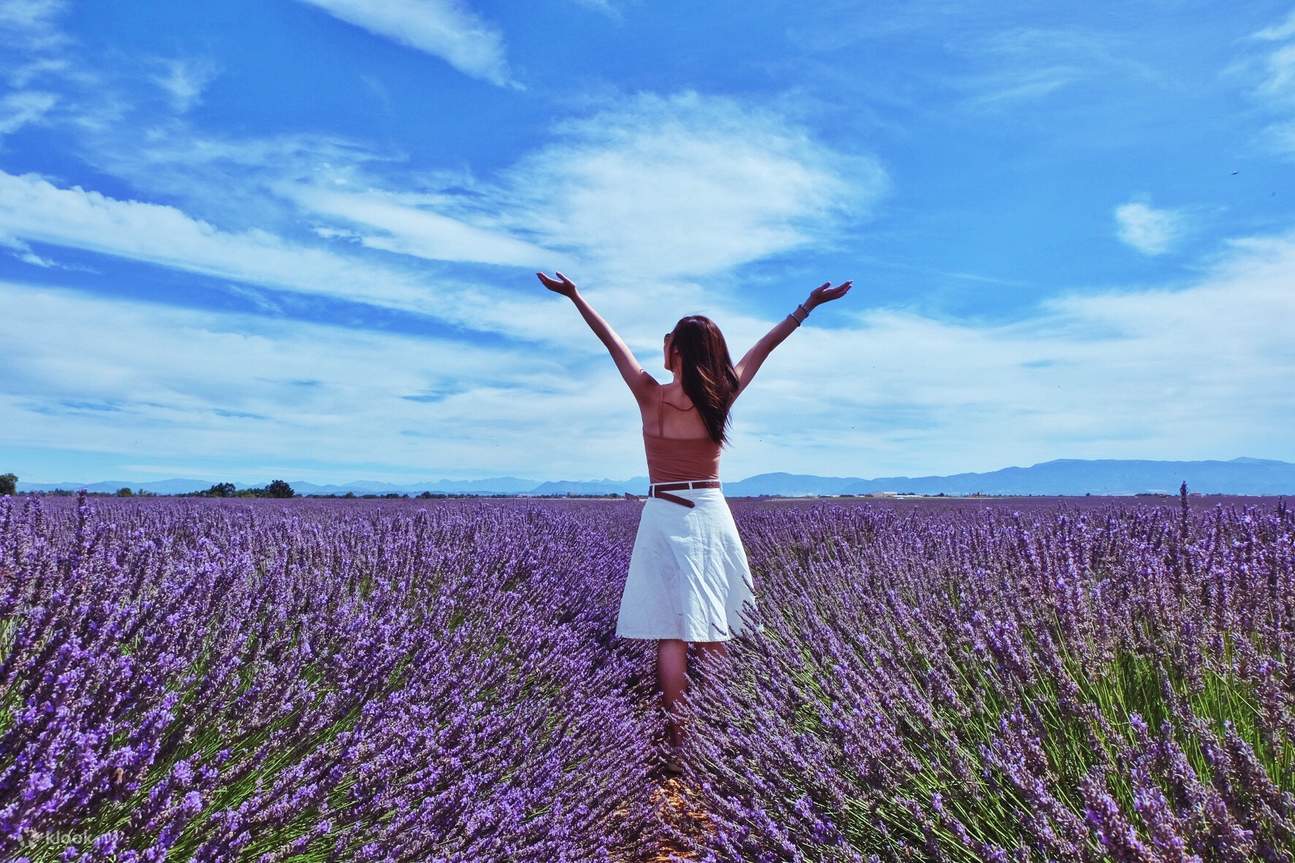 Lavender Full Day Tour dari Avignon - Klook Indonesia