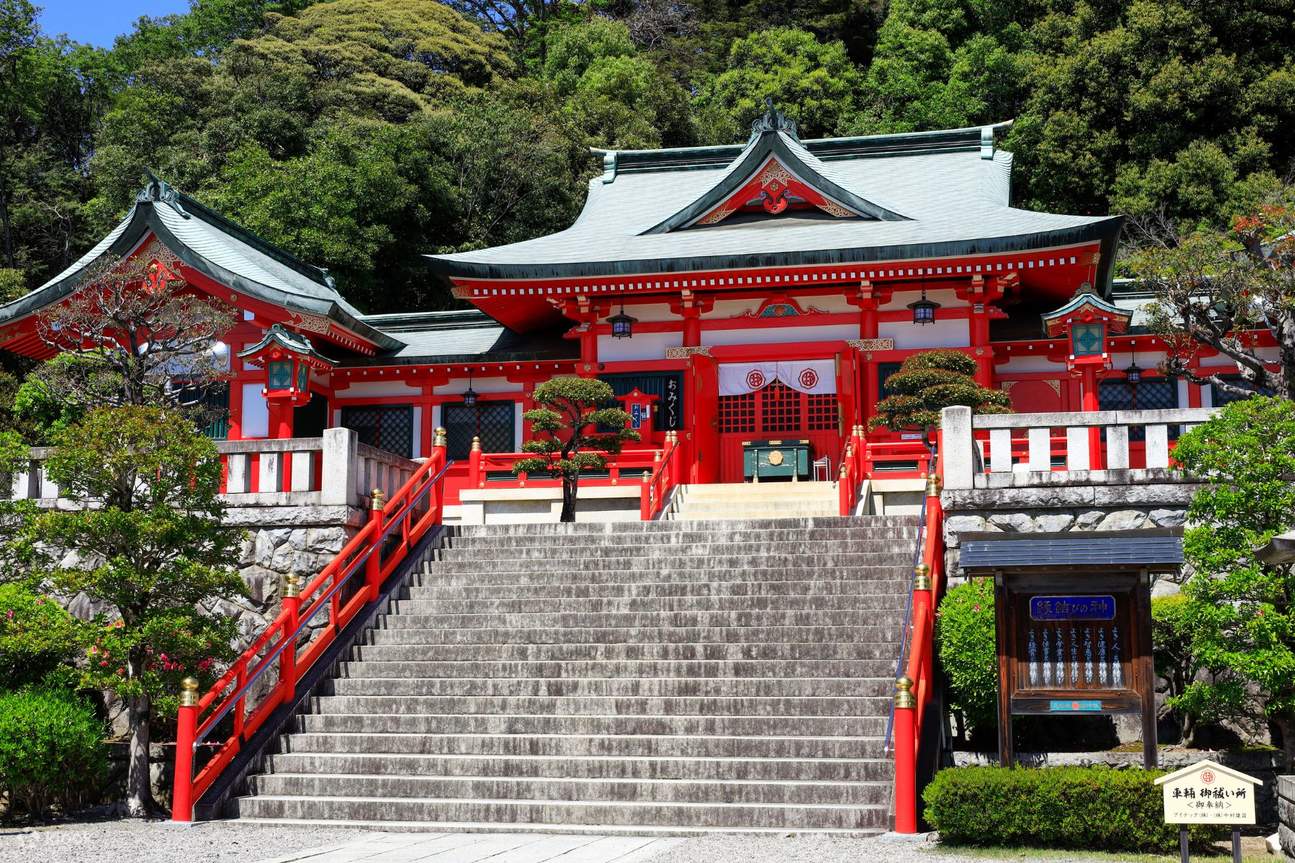 Tochigi Prefecture One-Day Bus Tour: Japan's Three Major Light Shows ...