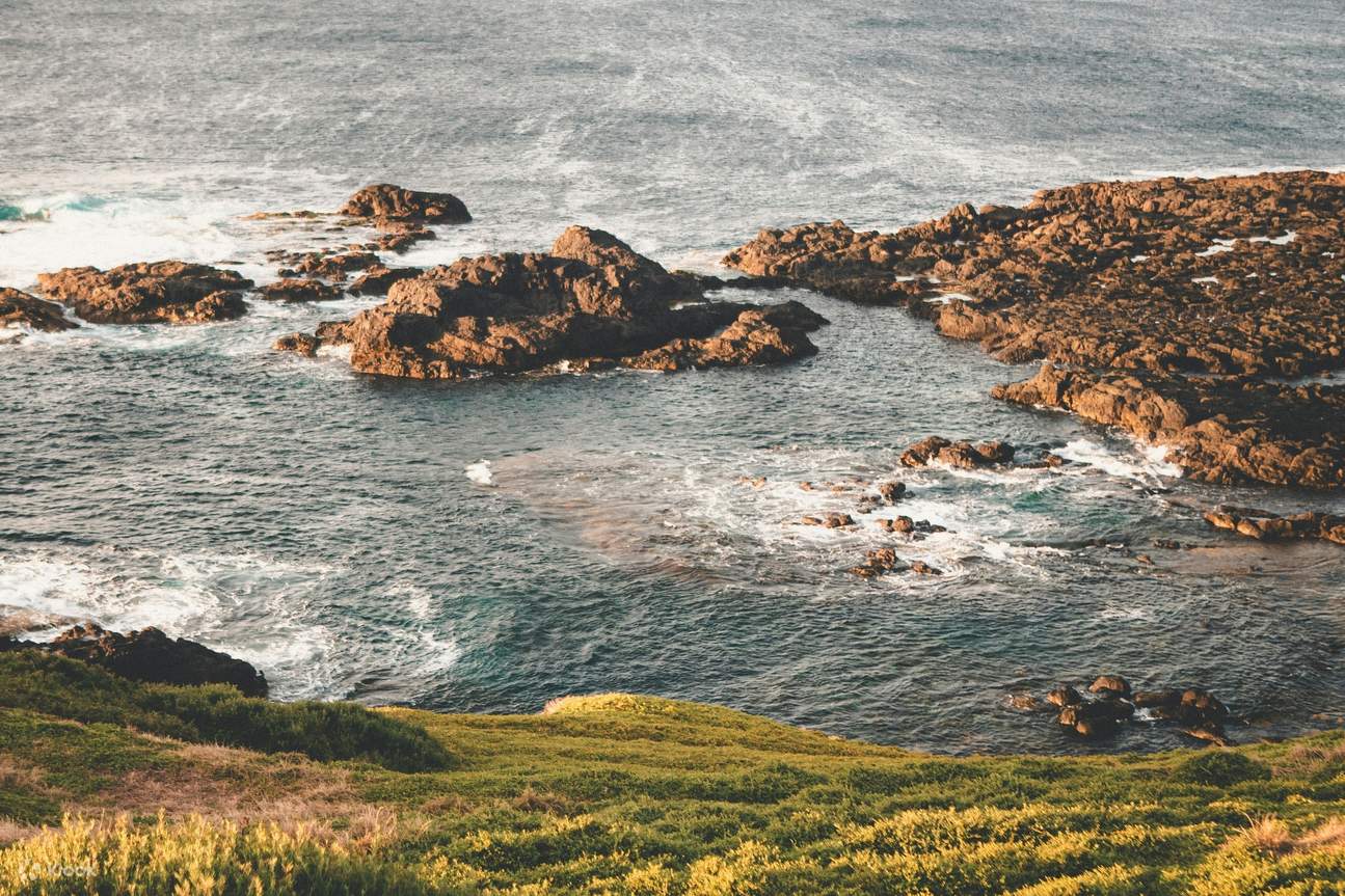 Philip Island Penguin Parade Tours from Melbourne - Klook Canada