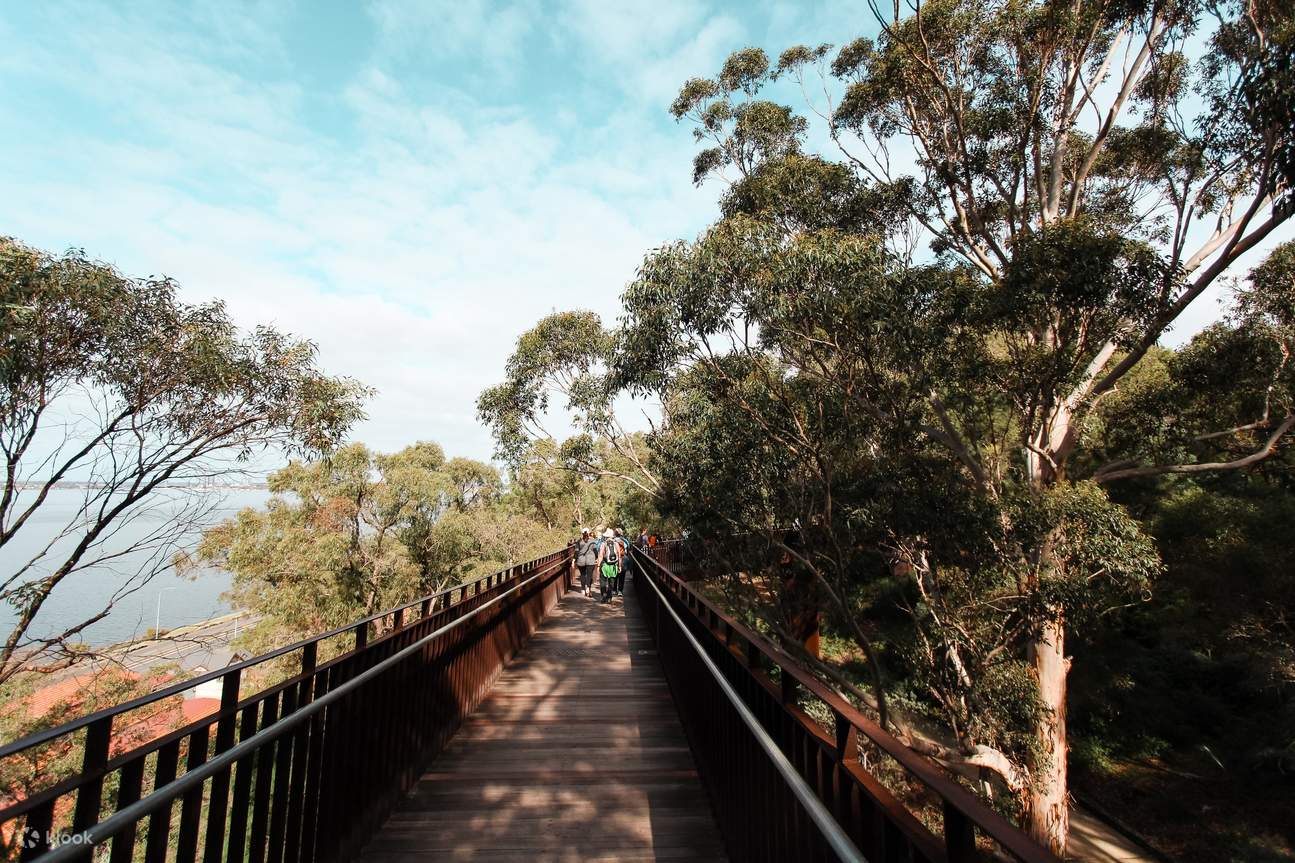 Kings Park Botanicals & Beyond Join In 2 hours 30 minutes Hiking Tour ...