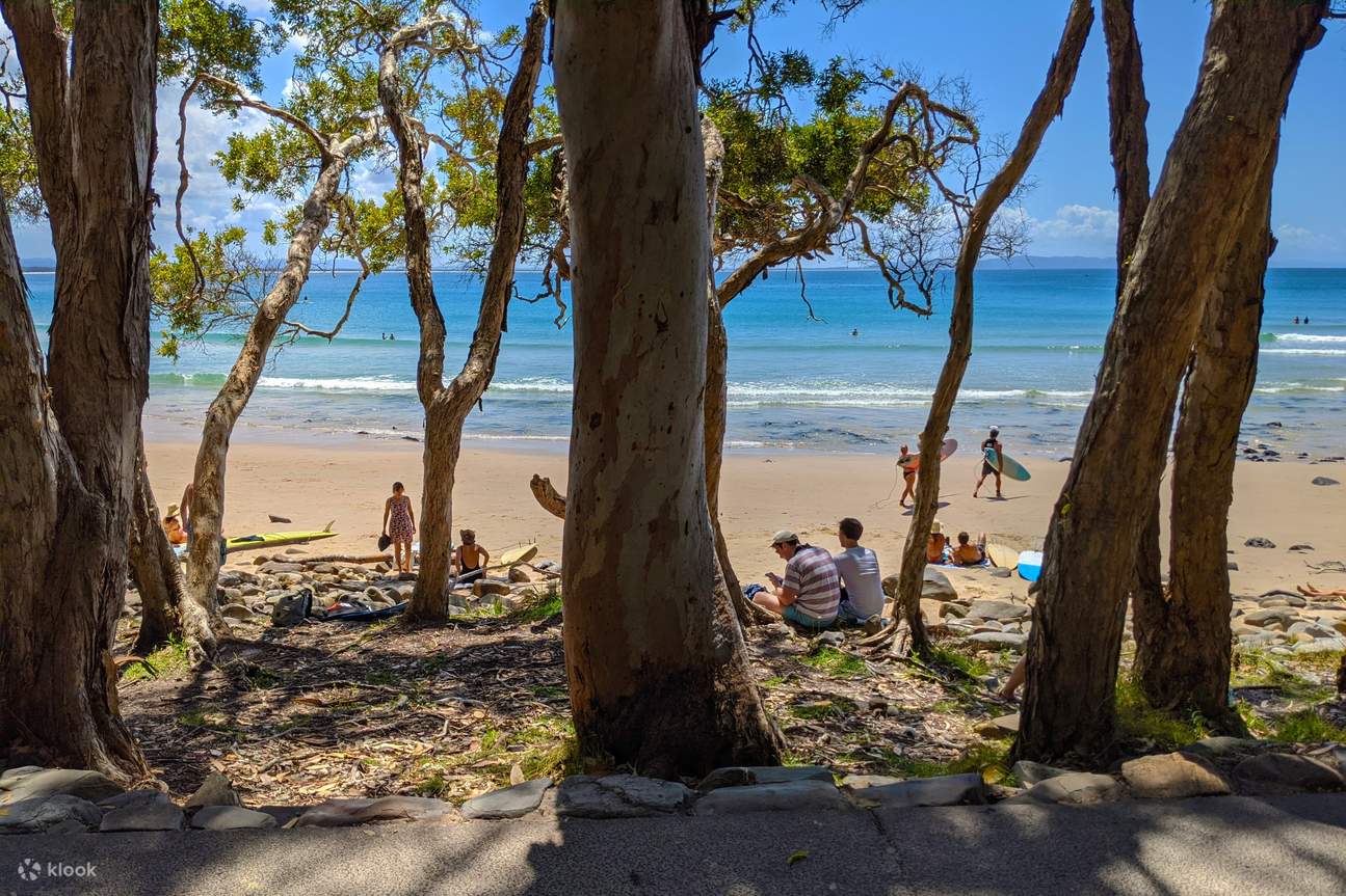 Noosa, Aussie Animals & Glass House Mountains from Brisbane - Klook ...