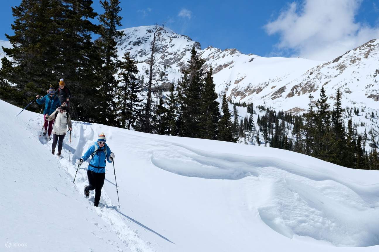 Snowshoeing Experience in the Rocky Mountains - Klook