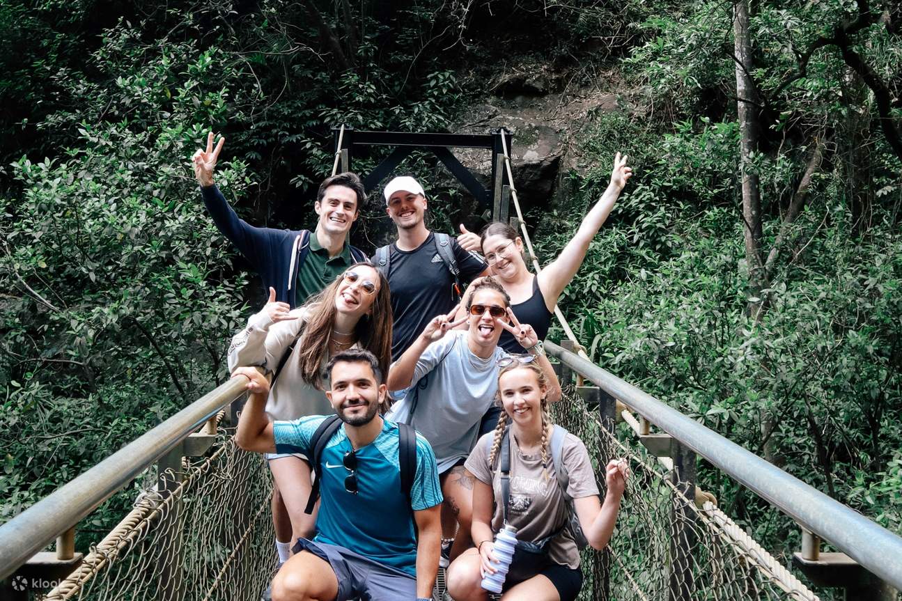 Super 7 Waterfalls and Natural Bridge Day Tour at Springbrook Nation ...