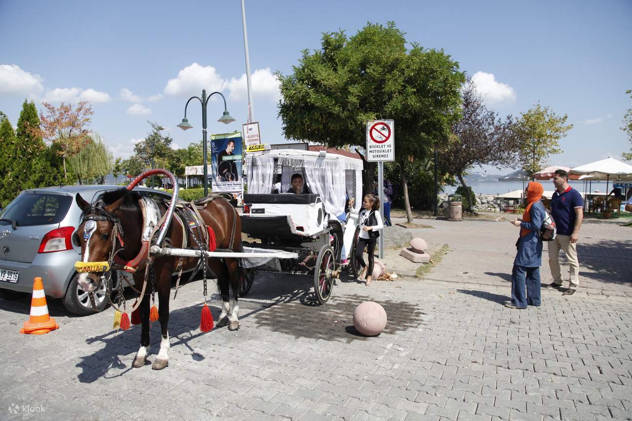 Sapanca Lake, Masukiye, Mahmudiye Nature Tour from Istanbul - Klook