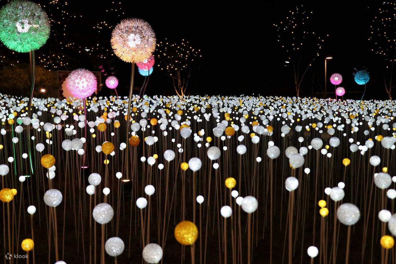 Classic Routes Private Day Trip, Seoul, South Korea - Klook Singapore