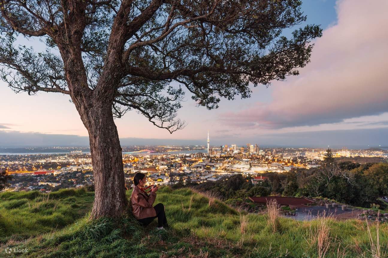 Auckland City Private Tour - Klook Singapore