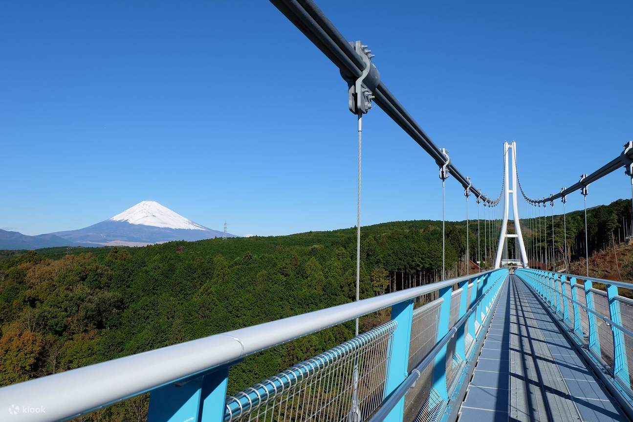 Gotemba Outlet and Numazu Port Day Trip - Klook