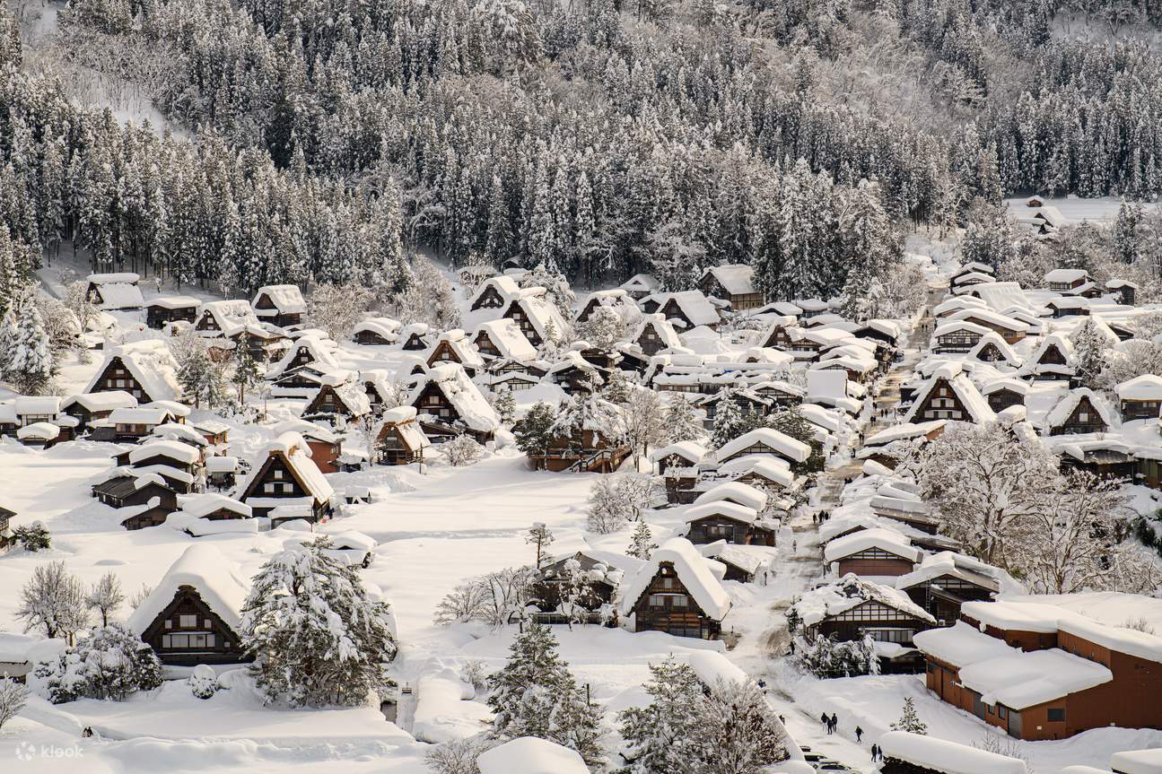 Shirakawa-go One Day Bus Tour with Hida Beef Lunch from Nagoya - Klook