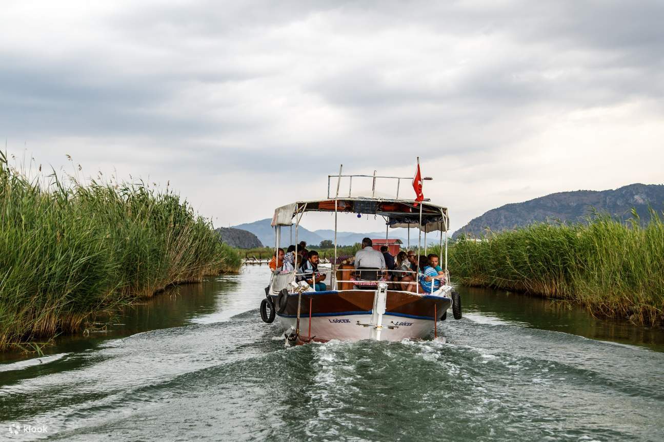Dalyan Turtle Beach Tour with Mud Baths & River Cruise from Marmaris ...