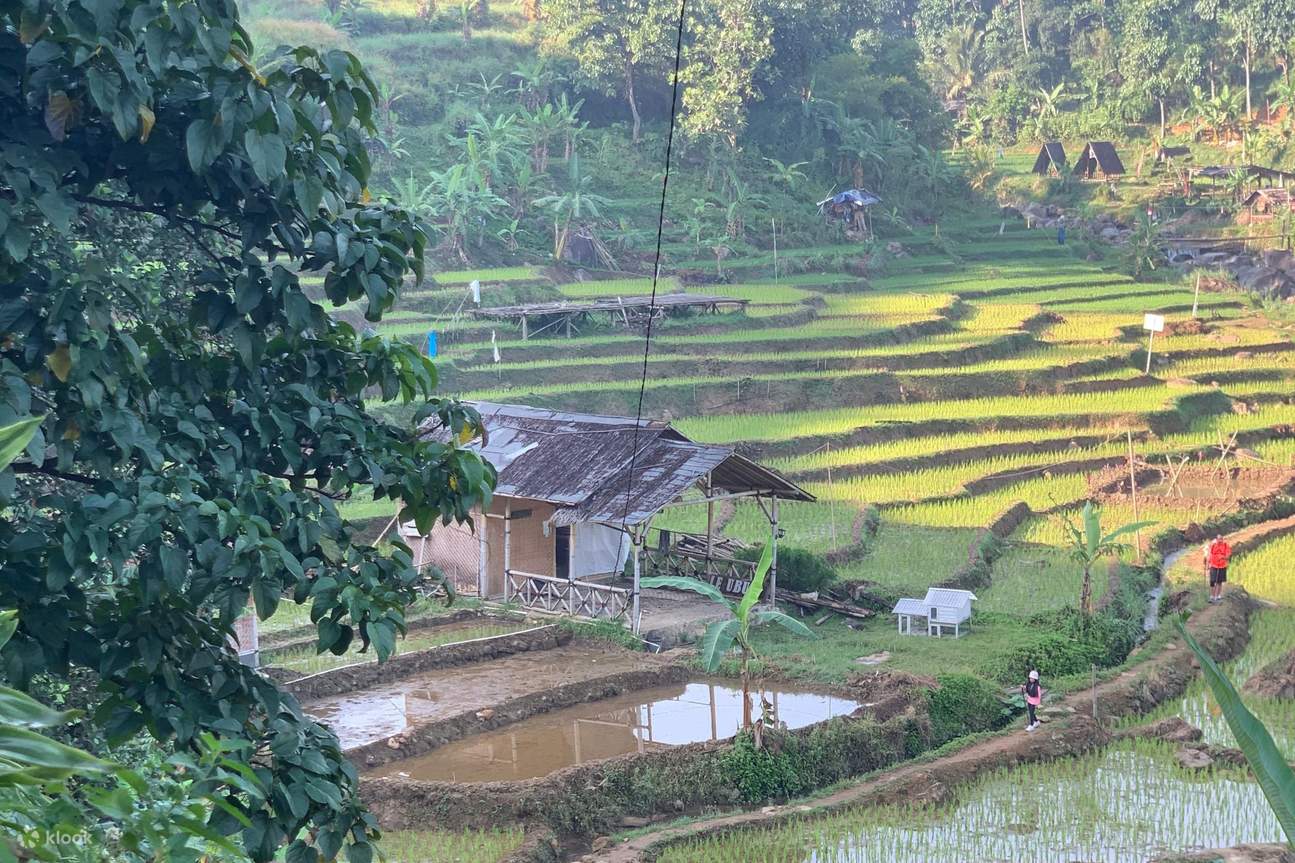 The Best Trekking Bogor Adventure to 5 Waterfalls (Start from Jakarta ...