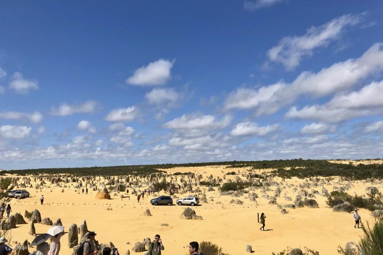 Pinnacle Desert Explorer with Lancelin Sandboarding Full Day Tour - Klook